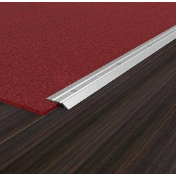 PROFIL ALUMINIU DE TRECERE CU DIFERENTA DE NIVEL, PERFORAT, SAMPANIE ...